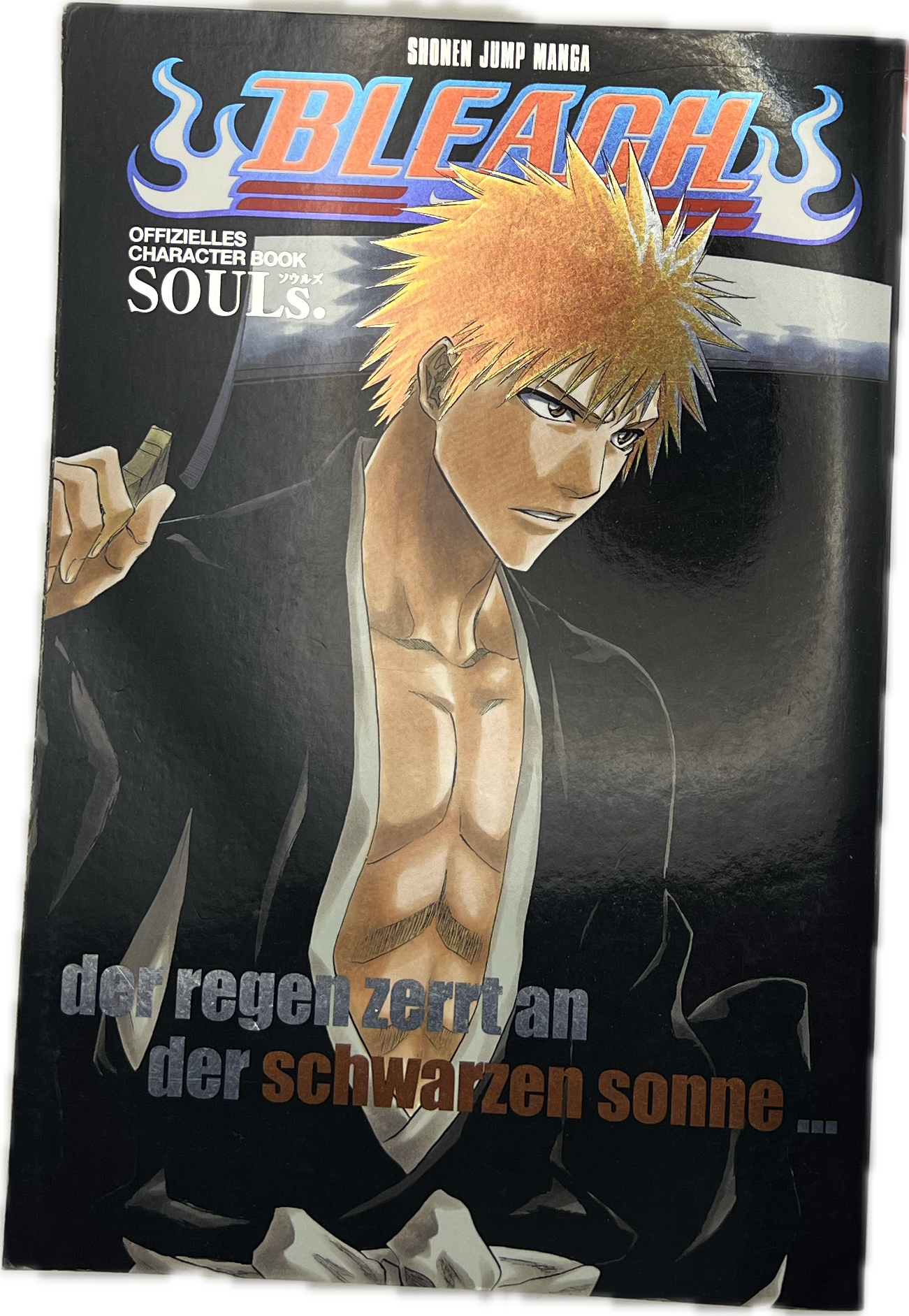 Bleach Character Book - Souls der Regen zerrt an der schwarzen Sonne ...